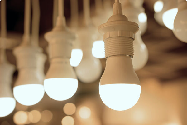 Duke Energy Free Saving Light Bulbs | Shelly Lighting